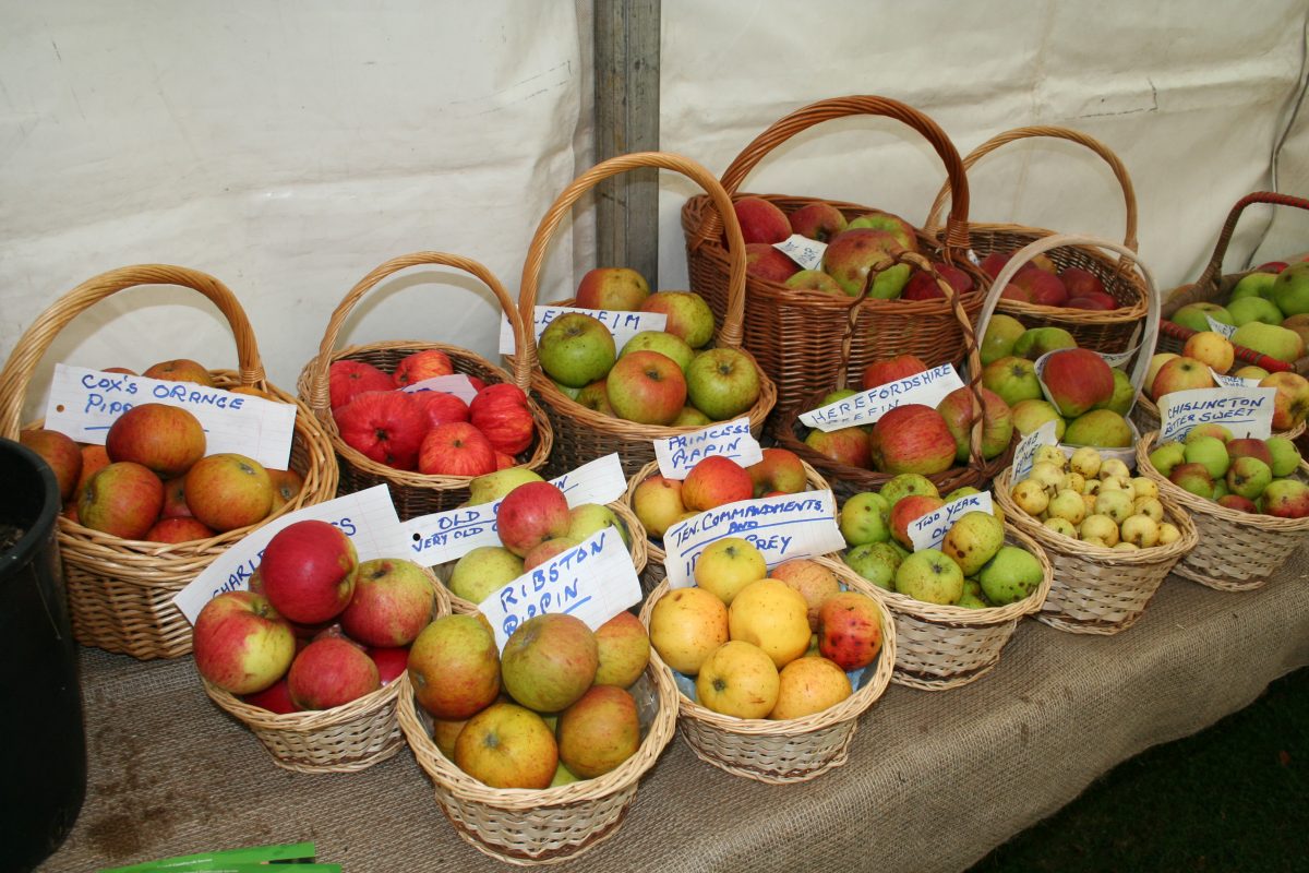 Fun for all the family as Applefest returns to Tenbury Wells today ...