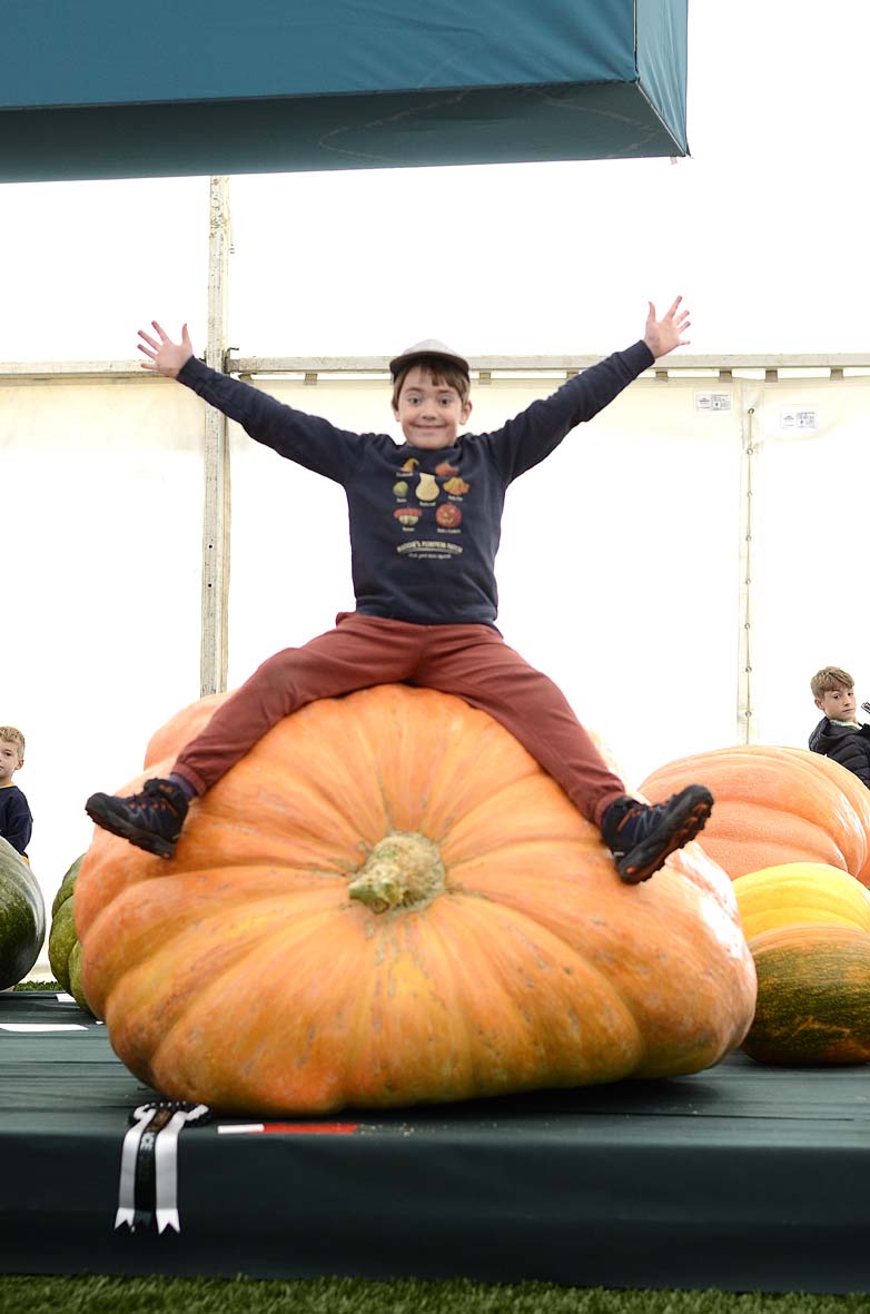 IN PICTURES- Malvern Autumn Show a roaring success - The Malvern Observer