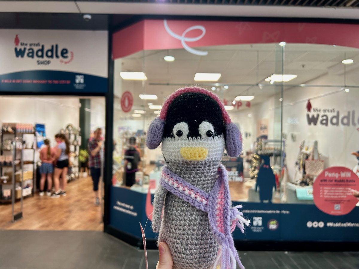 Widow knits 100 Waddle of Worcester woolly penguins in late husband's ...